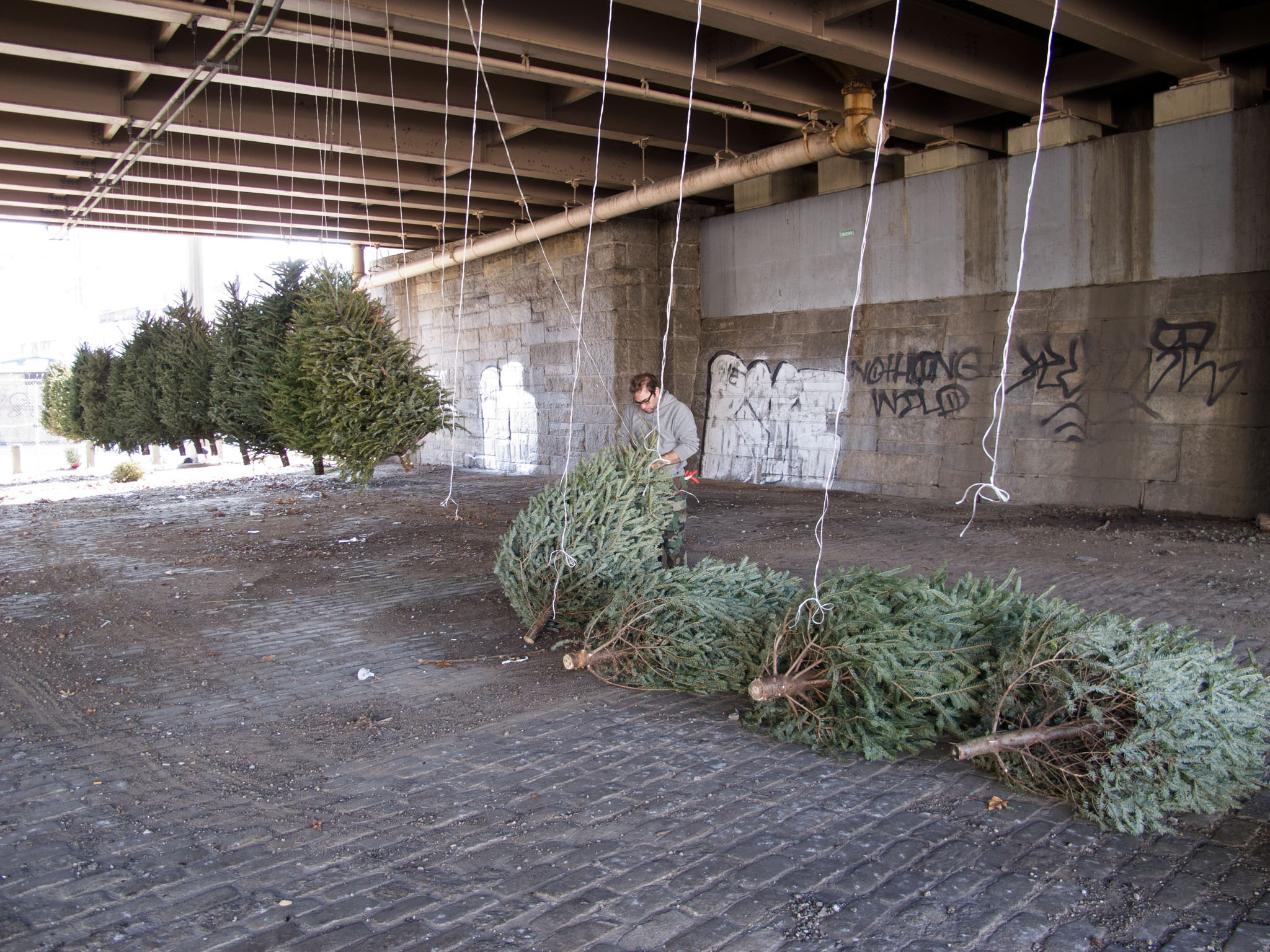 Michael Neff: Suspended Forest – Art in Odd Places